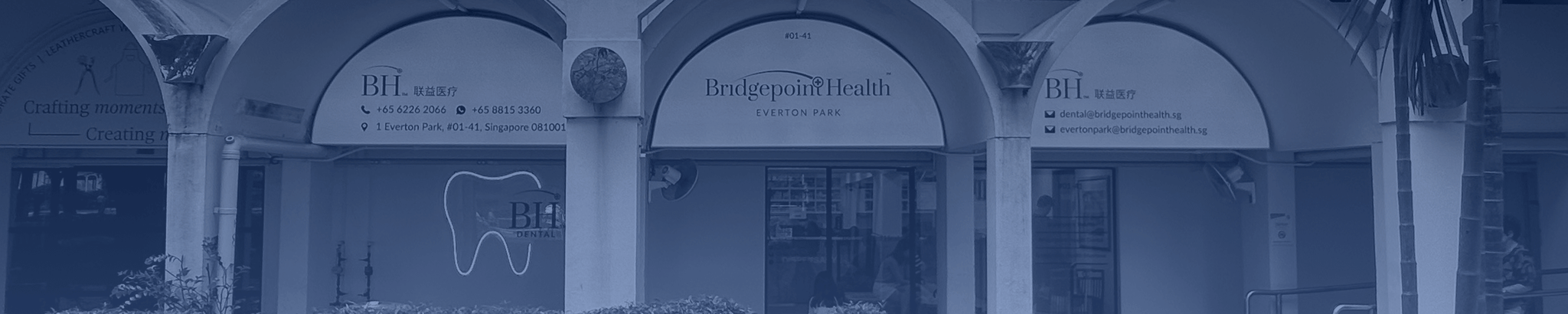 Adults • Bridgepoint Health